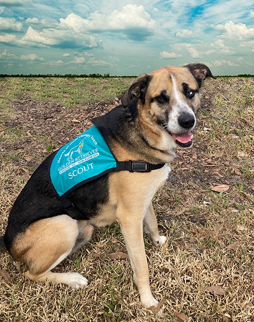 Scout and Handler Melissa - Golden Retriever Rescue of Mid Florida